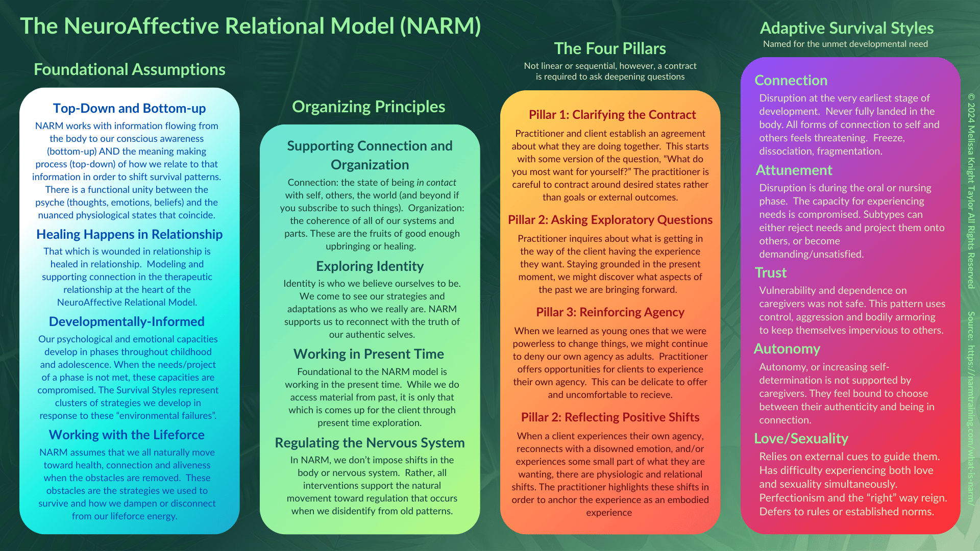 What is NARM Therapy? | Neuroaffective Relational Model